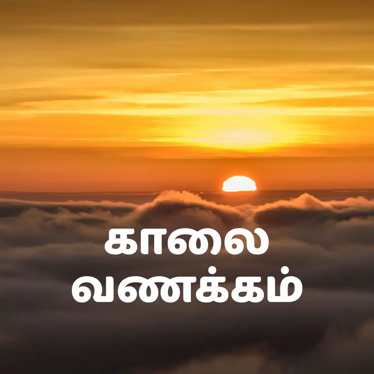 Latest Vijay Quotes TVK 100 Latest Vijay Quotes TVK 100